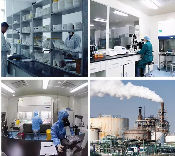 ABOUT US,COMAX SOLUTION INC